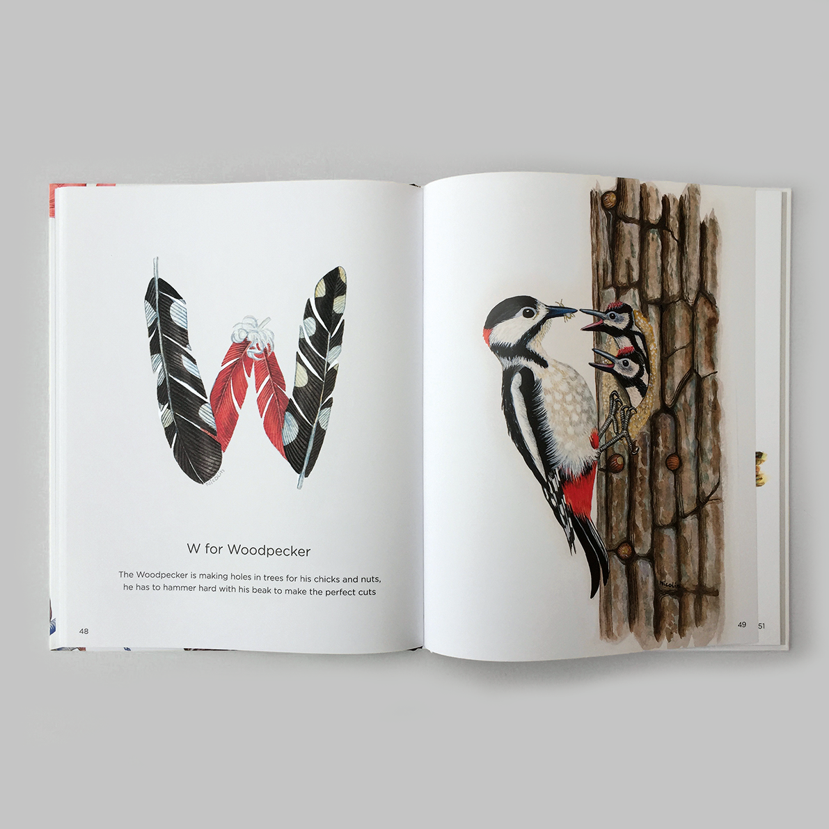 ABC - Book with birds - Text & Illustrations by Charlotte Nicolin