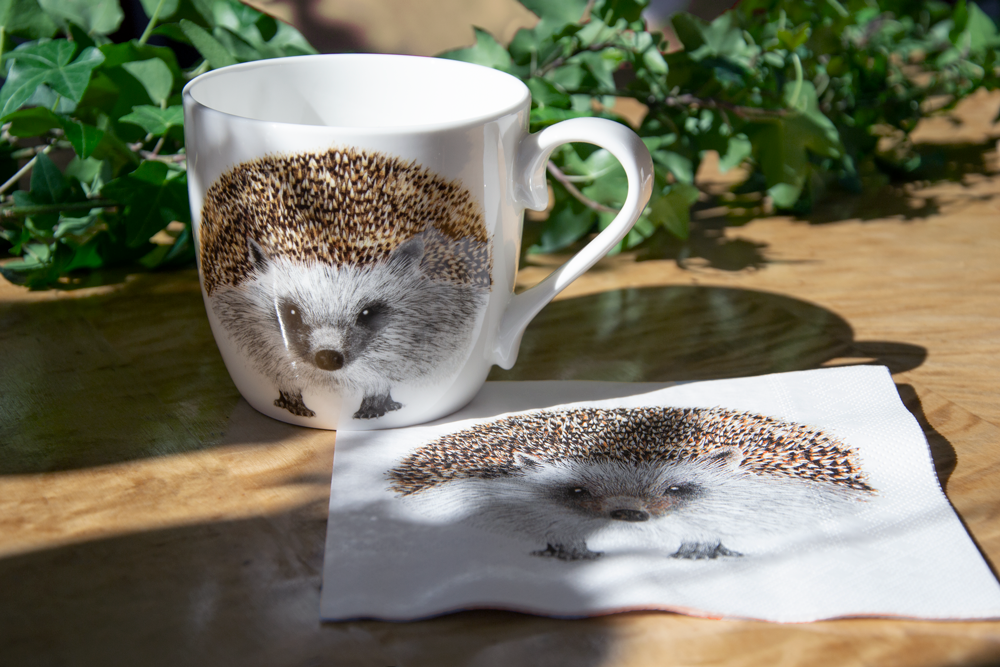 Mug - Hedgehog - Henry - by Charlotte Nicolin
