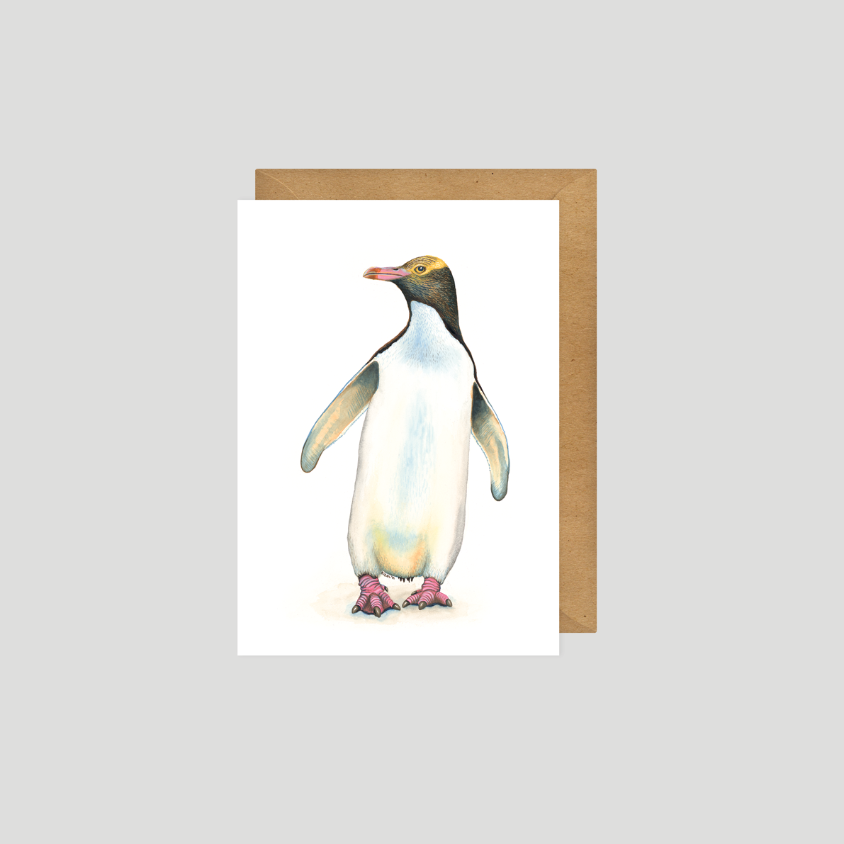 Art card - Penguin - Postcard - Small Print by Charlotte Nicolin
